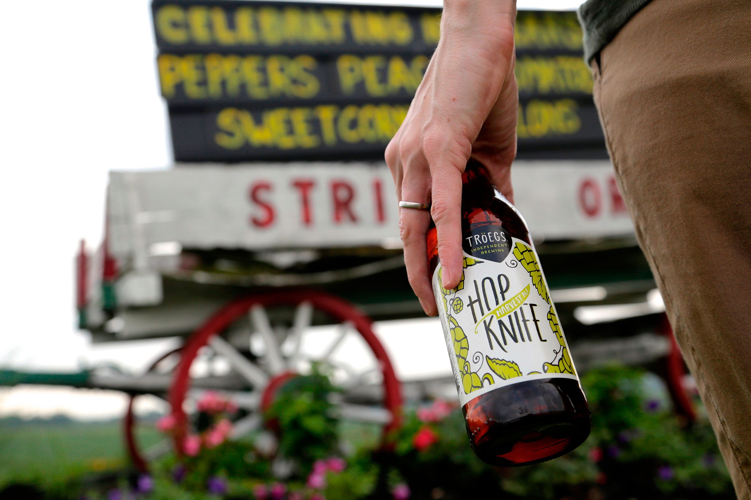 Return of Hop Knife celebrates fall harvest - Out of Curiosity